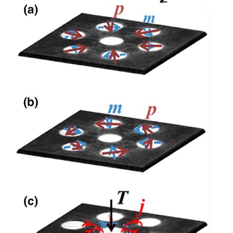 The Eigenmodes Simulated With 3d Fdtd Which Depict The Spatial Field