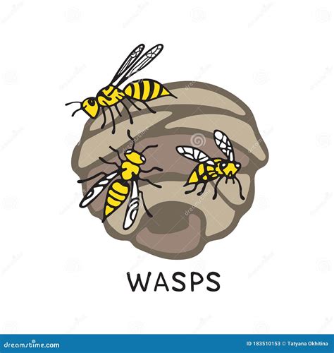 Wasp 03 Stock Vector Illustration Of Concept Hornets 183510153