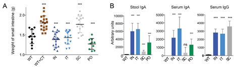 Microbiota Drives Airway Iga Class Switch Via Dc Derived Tgf β