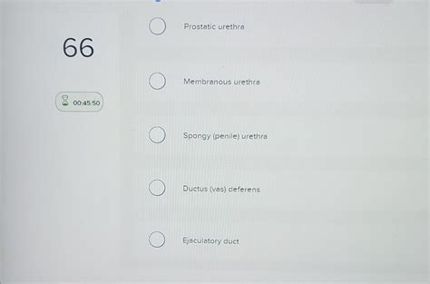 Solved Prostatic Urethra Membranous Urethra Spongy