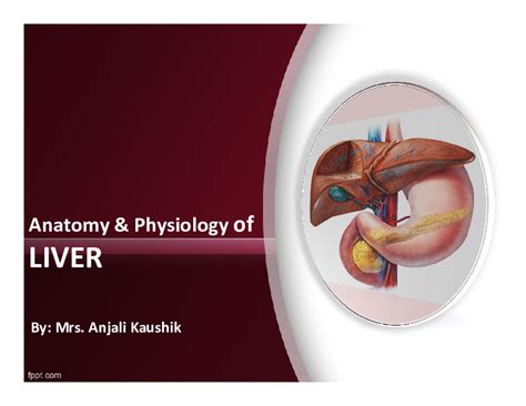 Anatomy And Physiology Of Liver By Anjali Pdfcoffeecom