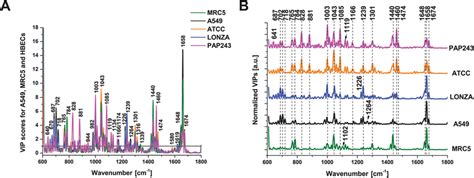 Variable Importance In Projection Vip Scores For Pls Da Model Of All Download Scientific