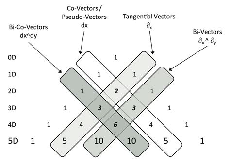 Pascals Triangle Depicting Tangential Vectors Bi Vectors Co Vectors Download Scientific