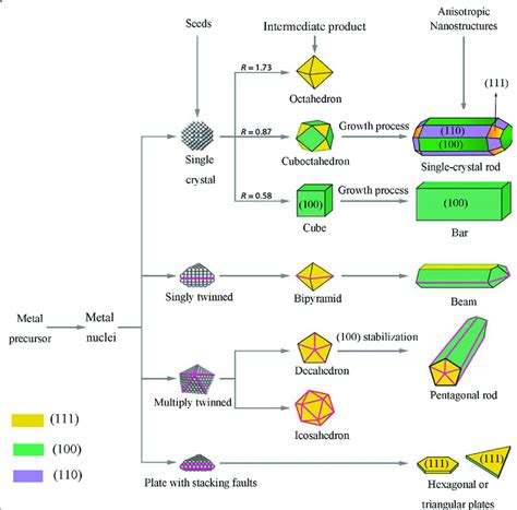 A Schematic Illustration Of The Reaction Pathways That Lead To