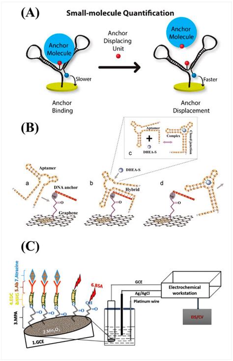 Biosensors Special Issue Feature Review Papers For Biosensors