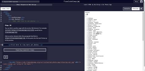 Learn Html By Building A Cat Photo Step 10 Html Css The Freecodecamp Forum