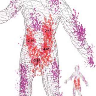 Tridimensional Parametric Representation Of Areas Of Sexual Interest Download Scientific