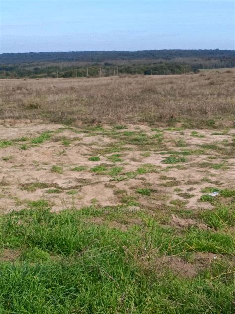 Звездица Земеделска земя купувам Земеделска земя 10000 кв м Не е посочено Земеделска земя