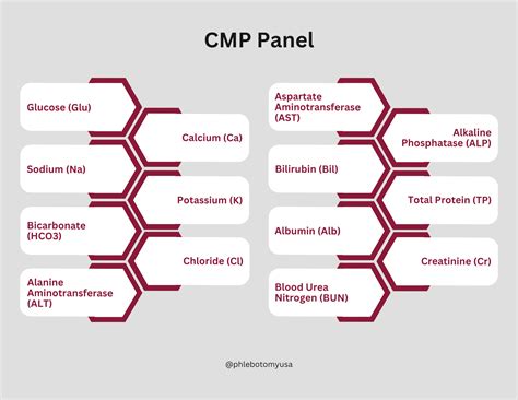 What Your CMP Results Are Telling You Phlebotomy USA