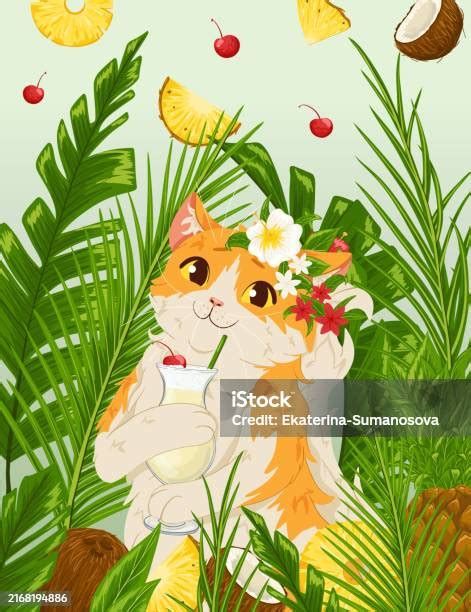 벡터 엽서 일러스트 고양이 열대 잎 과일 칵테일 꽃 인쇄 디자인 계절에 대한 스톡 벡터 아트 및 기타 이미지 계절 고양이 새끼 공중 부양 Istock