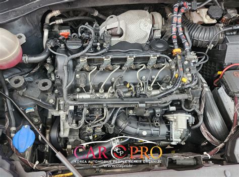 올뉴스포티지 쇠 부딪히는 소음 발생 타이밍체인 오토래쉬세트 교환 정비 올뉴스포티지r 카프로샵