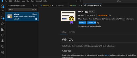 How To Configure Vscode To Trust Self Signed Certs