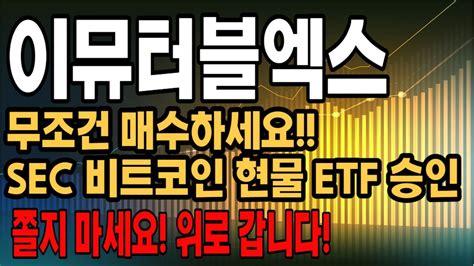 이뮤터블엑스 코인주가전망 코인대응전략 코인매수타이밍 코인목표가 앞으로의 전략 Youtube