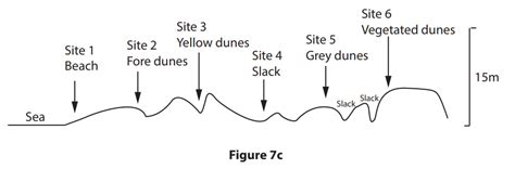 Coastal Practical Skills Edexcel IGCSE Geography Topic Questions