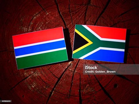 고립 된 나무 등 걸에 남아 프리 카 공화국 국기와 시리아 깃발 0명에 대한 스톡 사진 및 기타 이미지 0명 Friendly Match 감비아 Istock