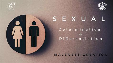 Sexual Determination And Differentiation Pdf