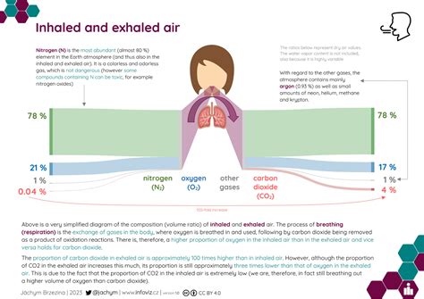 What Is Inhalation Of Fumes At Mariam Oberg Blog