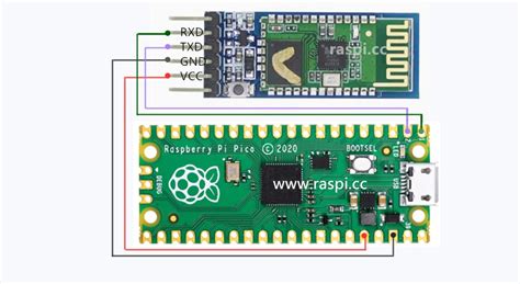动态 Raspi