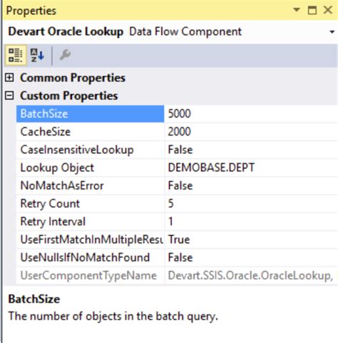 Ssis Data Flow Components For Oracle Software 2024 Reviews Pricing And Demo