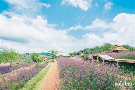 9 เหตุผลว่าทำไมใครๆก็ชอบไปแอ่วเชียงใหม่