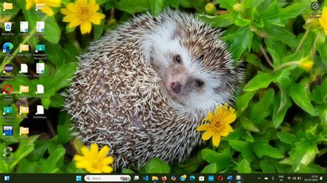 Javafx Code Download And Run A Simple Code తెలుగుjava Trending Viralvideo Coding Tech