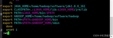 《hadoop大数据技术》实验报告（1）hadoop的伪分布式安装和配置 hadoop伪分布模式安装实验报告 csdn博客