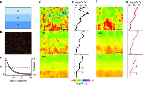 Simulations Of Heterogeneous Diffusion Zones A Scheme Of The Diffusion Download Scientific