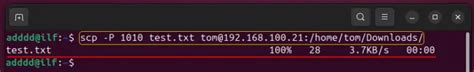 How To Use Scp Command To Securely Transfer Files Its Linux Foss