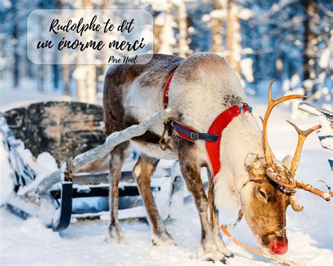 Rudolph Le Renne Au Nez Rouge Blitzen Les Rennes Du Père Noël K