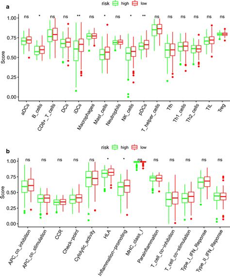 Box Plot For Ssgsea Immune Score Between The High And Low Risk Groups Download Scientific