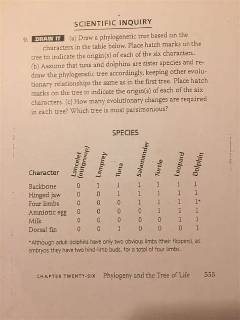 Solved Draw A Phylogenetic Tree Based On The Characters In