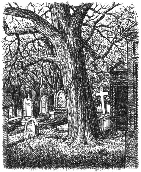 Pocket Cemetery Landis Blair