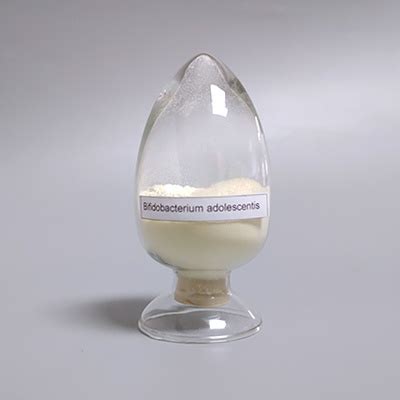 Bifidobacterium Adolescentis Buy Bifidobacterium Adolescentis Product