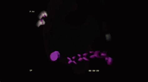 Mtf GIF Mtf Discover Share GIFs