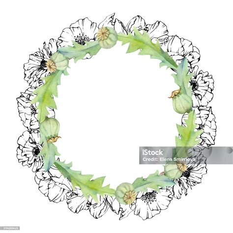 손으로 그린 수채화 식물 그림 꽃 잎 빨간 양귀비 Papaver 줄기 새싹 Seedpods 흰색 배경에 고립된 화환 프레임입니다 디자인 결혼식 사랑 카드 기념일 문구