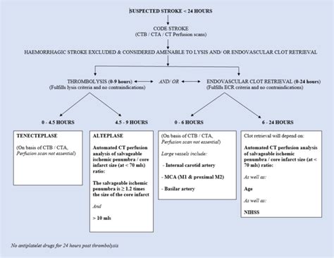 Stroke Infarction Basilar Artery • Litfl • Ffs
