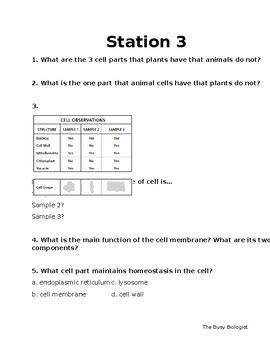 Cell Review Stations By The Busy Biologist TPT