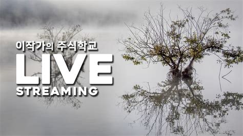 Ep 417 시장에 드리운 먹구름 Youtube