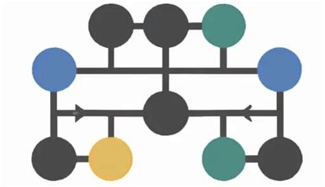 Bidirectional Search And Capability Development