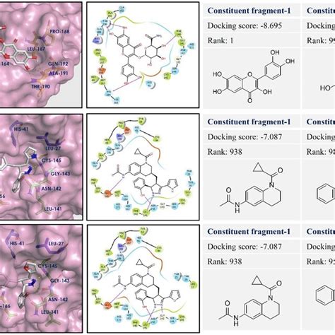 Mm Gbsa Free Binding Energy Values Of Compounds 1 13 N3 And Nirmatrelvir Download Scientific