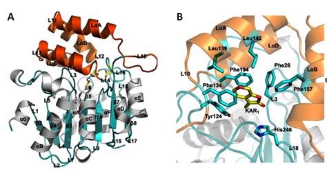 Figure Mapping Ignorance