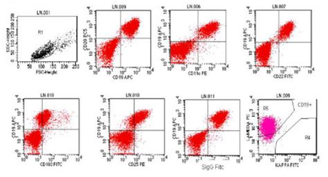 Immunophenotyping Performed Using Selective Gating On Lymphoid Cell