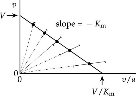 Biology Eadie Hofstee Diagram Handwiki