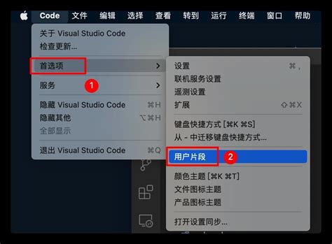 vscode 用户代码片段和生成器 vscode 代码生成器 csdn博客
