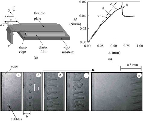 Figure 1 From Peeling From A Biomimetically Patterned Thin Elastic Film