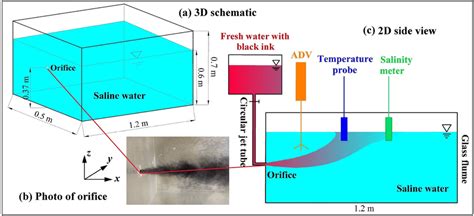 Sketch Of The Experimental Device Of The Salinity And Flow Field Download Scientific Diagram