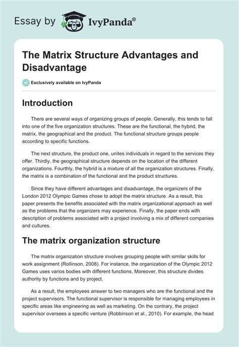 The Matrix Structure Advantages And Disadvantage 1983 Words Essay Example