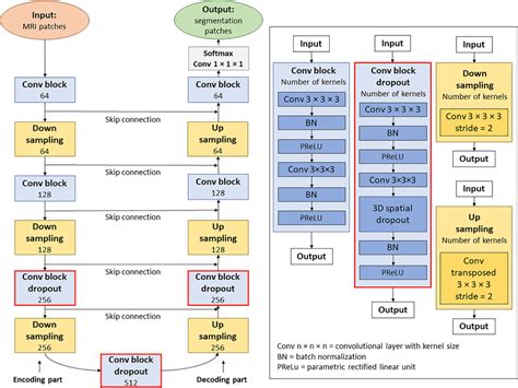 architecture of the bayesian u‐net method using 3d spatial dropout all