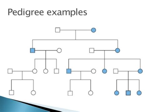genetics week 3 sex linked and nontraditional modes of inheritance