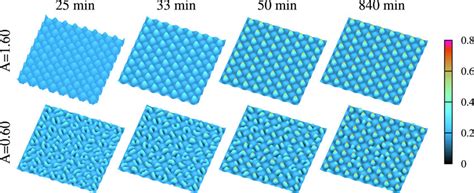 snapshots showing time evolution of a film with pattern wavelength